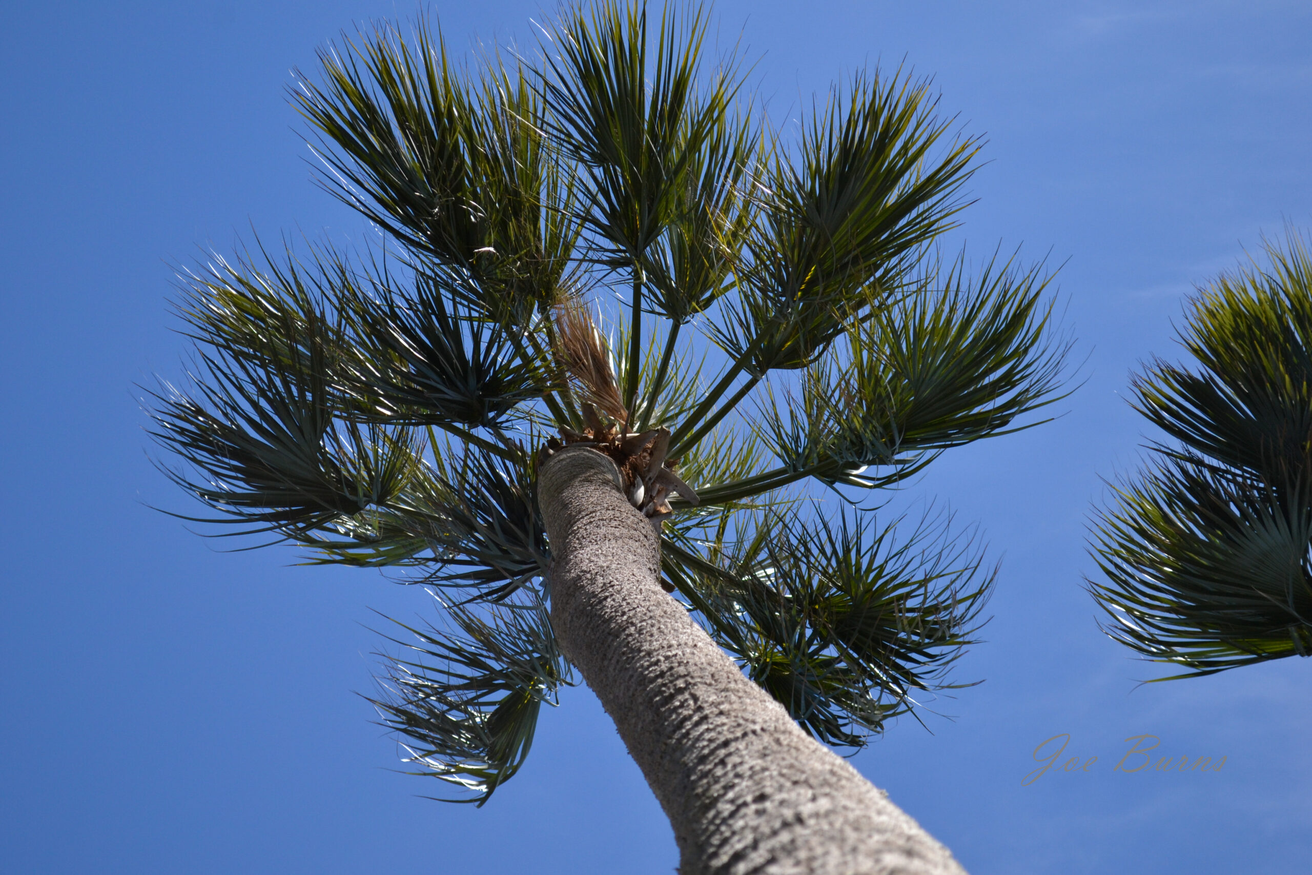 Saltwater Shutterbug – Coastline Photography