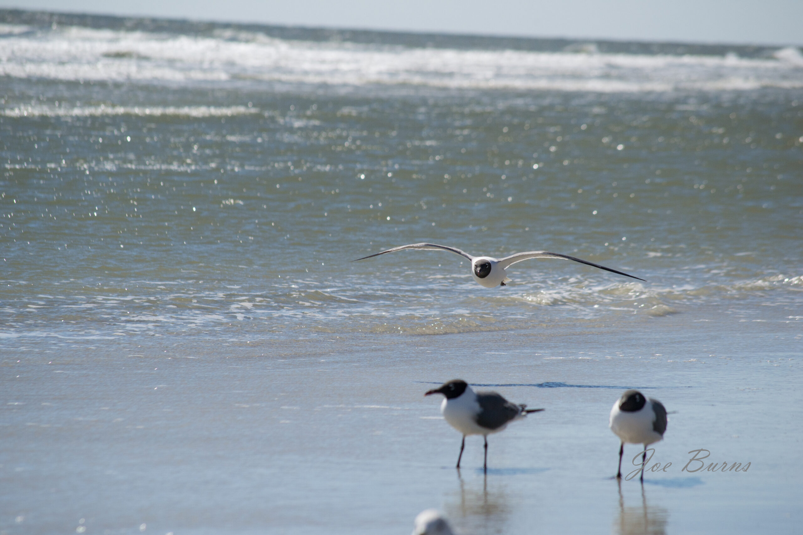 Saltwater Shutterbug – Coastline Photography