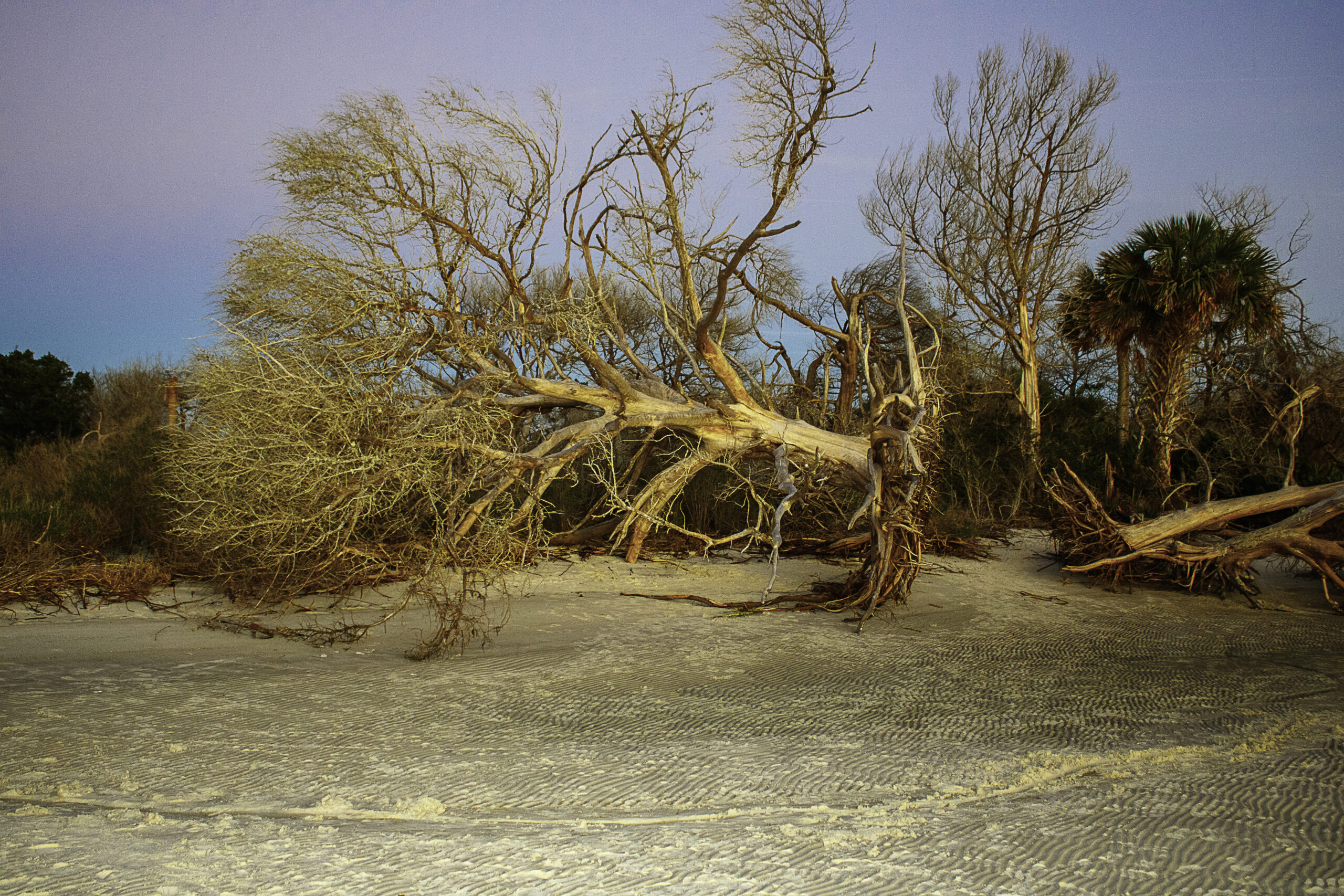 Saltwater Shutterbug – Coastline Photography