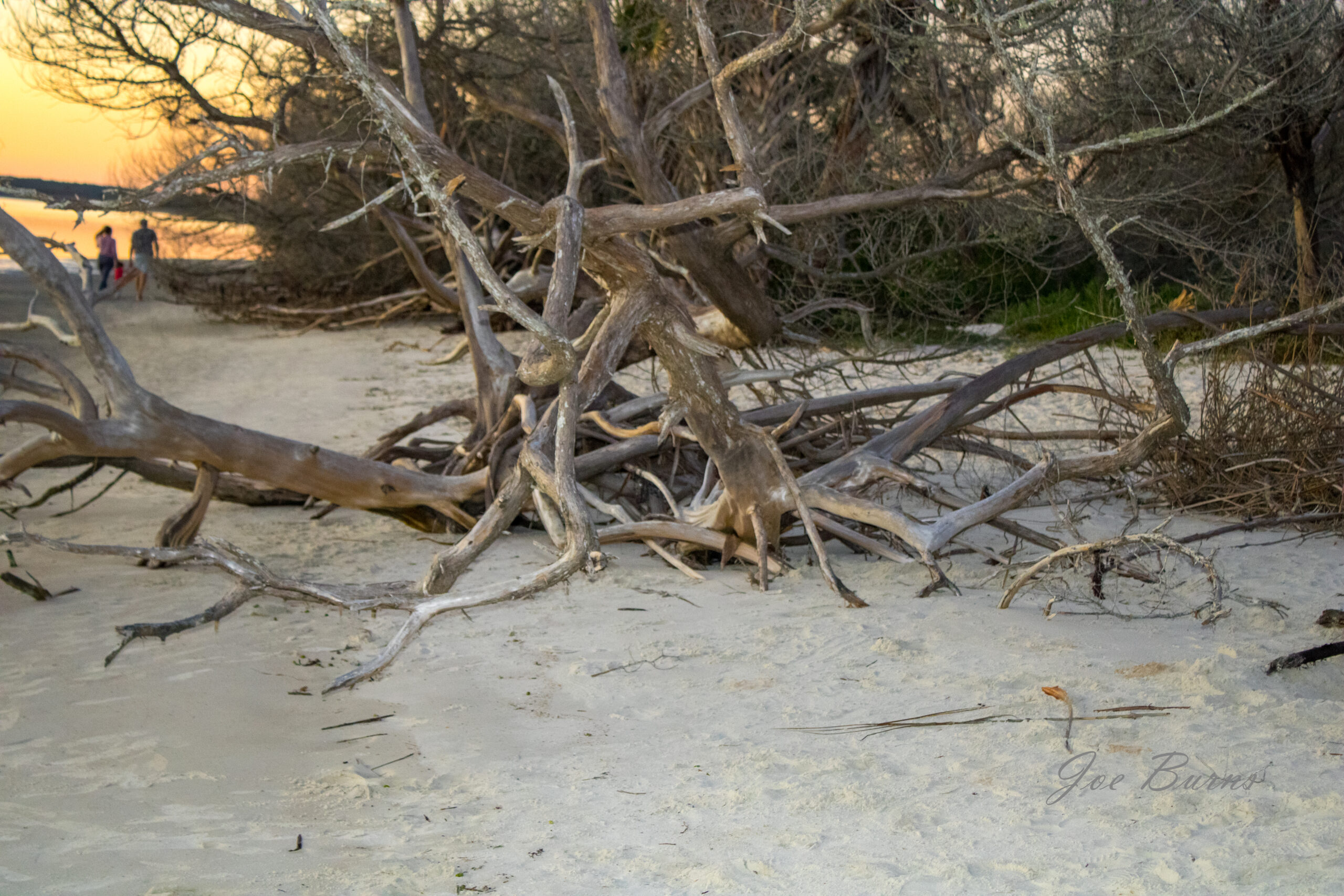 Saltwater Shutterbug – Coastline Photography